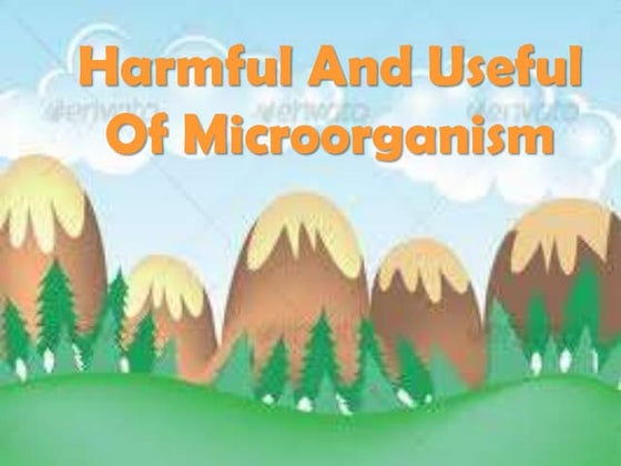 Harmful and Useful Microorganisms Presentation | PPT