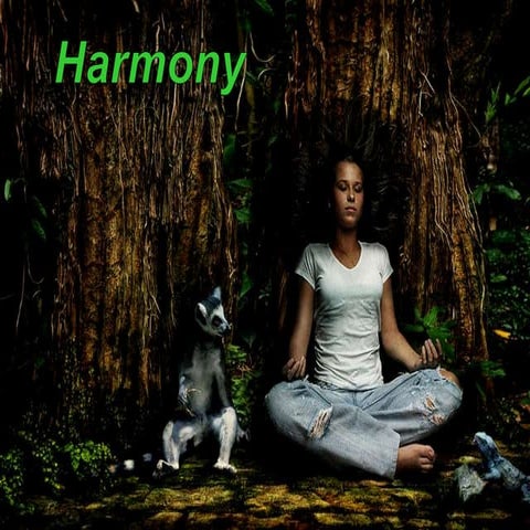 Harmony | PPSX