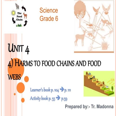 harms to food chains and food webs.pptx for grade 6 | PPTX