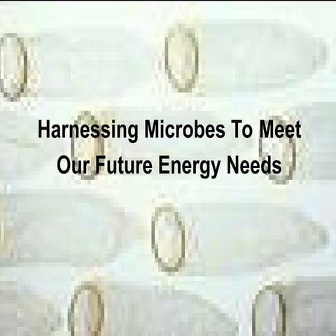 Harnessing Microbes To Meet Our Future Energy Needs.ppt