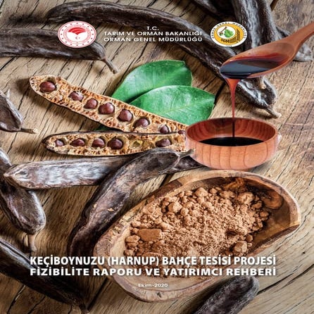 Keçiboynuzu (Harnup) Bahçe Tesisi Projesi | PDF