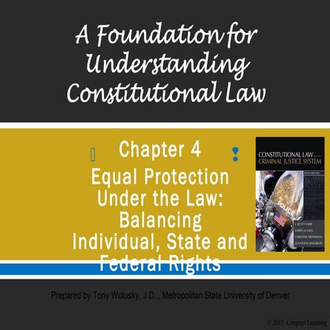 Chapter 4 - Equal Protection Under the Law: Balancing Individual, State ...