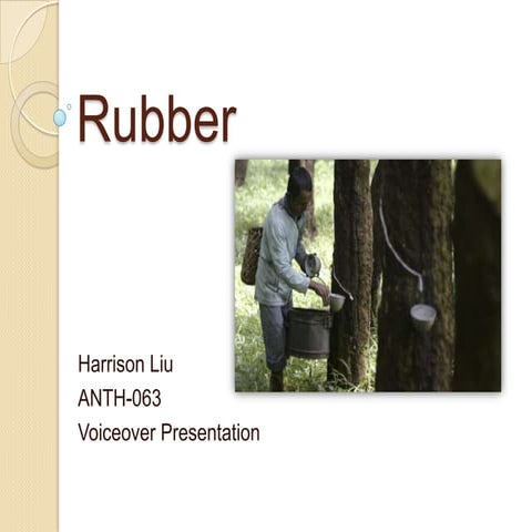 Economic Botany Presentation | PDF