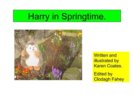 Springtime | PPTX | Weather | Science