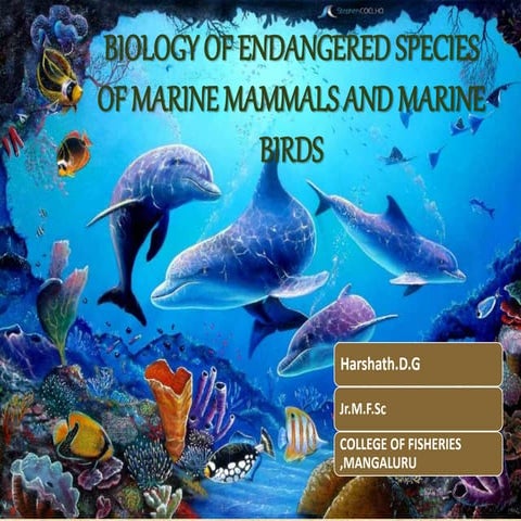 Endangerd marine mammals and sea birds | PPTX