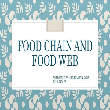 Food Chain And Food Web | PPTX