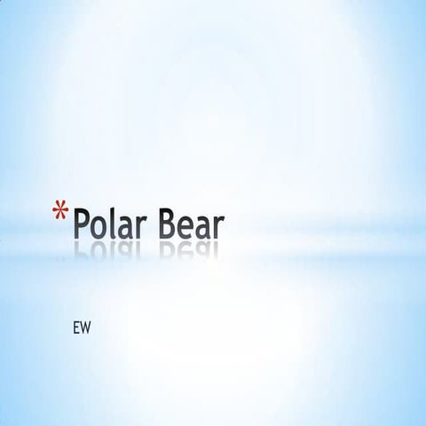 Polar bears | PPT