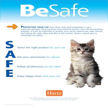 Hartz SAFE cat poster | PDF | Cats | Pets