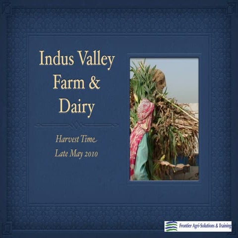 Harvest at Indus Valley | KEY