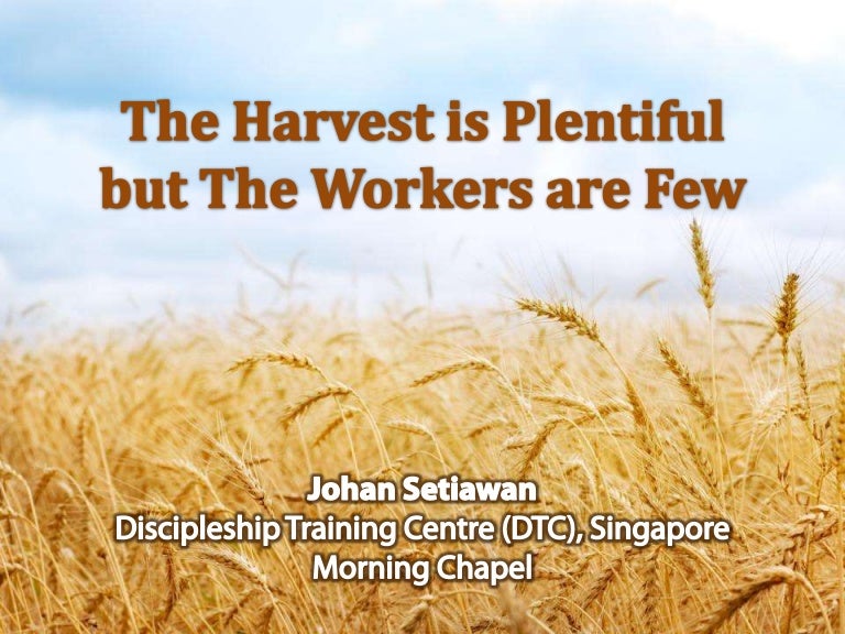 The Harvest are Plentiful But The Workers are Few