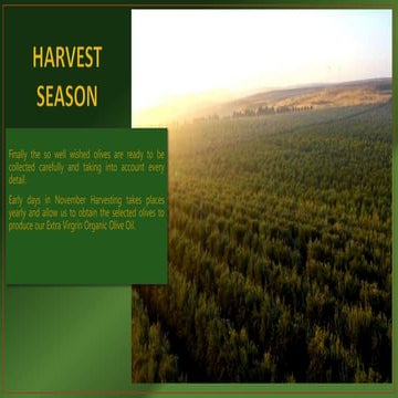 Harvest time | PPTX | Cooking | Food & Drink