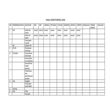 HASIL MONITORING UKM.docx