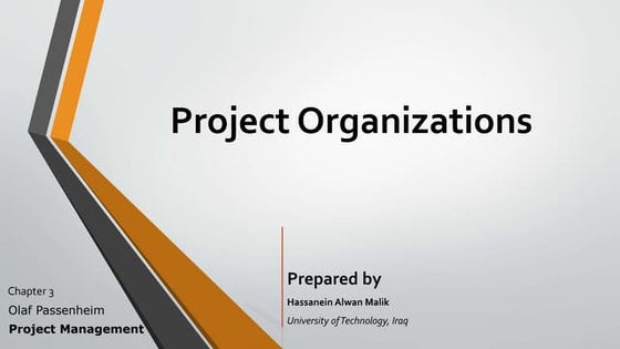Project organisation structure | PPT | Business | Business and Finance