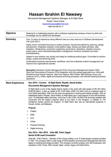 CV Luis Henao EN | PDF