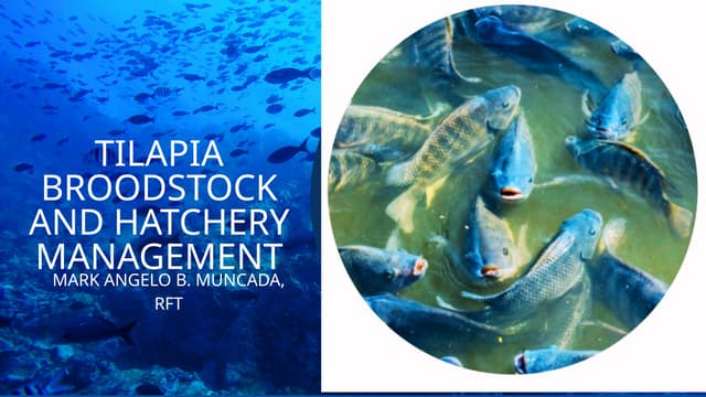 Fishs HATCHERY MANAGEMENT 1 LECTURE.pptx