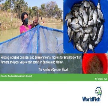 Efficient Aquaculture Hatchery Management: Best Practices And ...