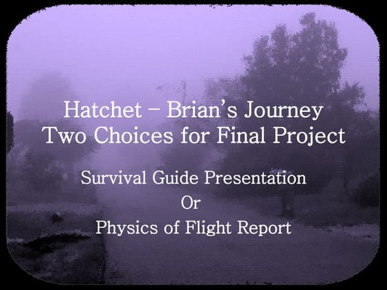 Hatchet – Brian’S Journey | PPT