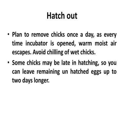 Hatch Out | PPT