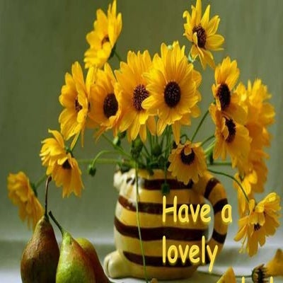 Have A Lovely Day! ! | PPT
