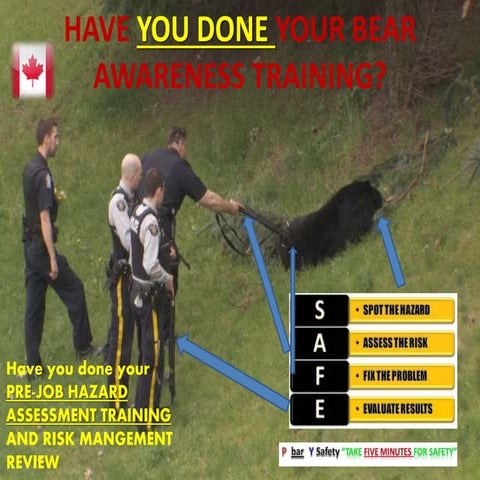 Have you done your bear awareness training | PPTX