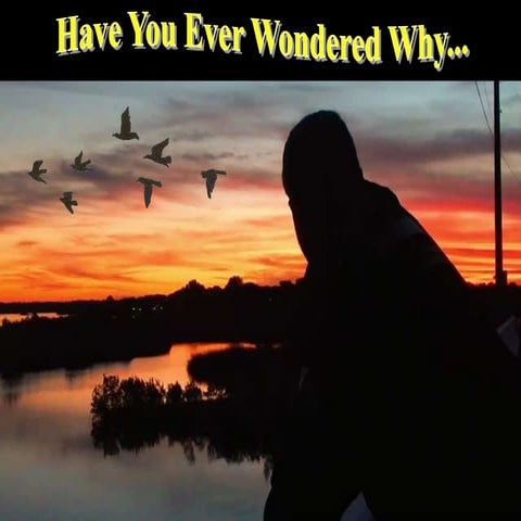 Have You Ever Wondered Why... | PPT