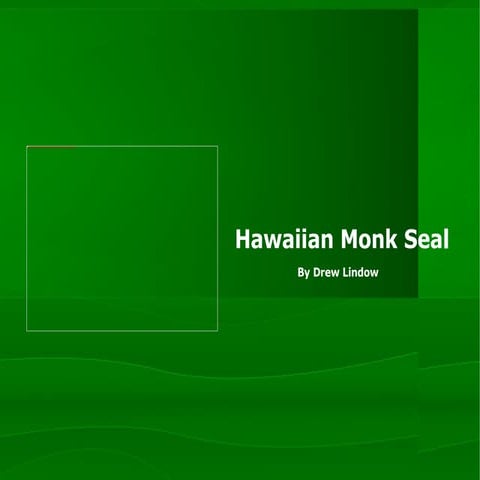Hawaiian Monk Seal | PPT