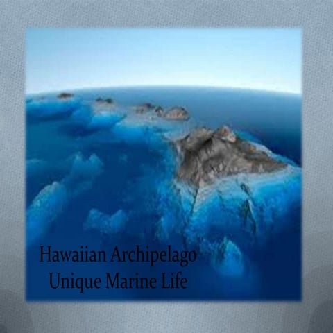 Unique Marine Life | PPTX