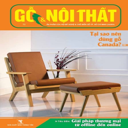 Ban tin 73 HAWA - Go & Noi that | PDF