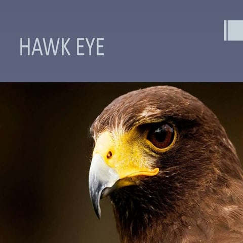 Hawk eye | PPTX