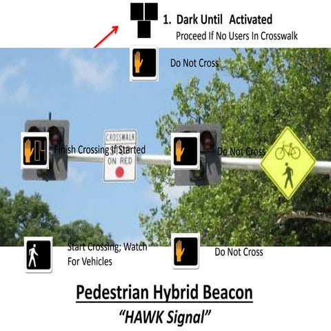 Hawk Operation | PPTX