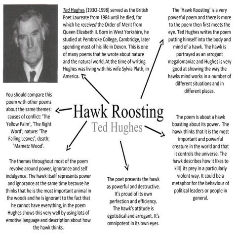 Hawk Roosting by Ted Hughes | PPT