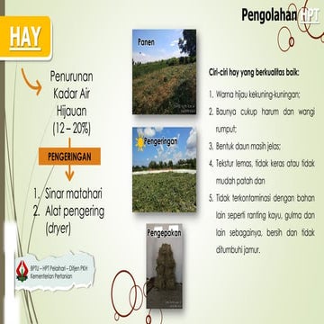 Hay.pdf