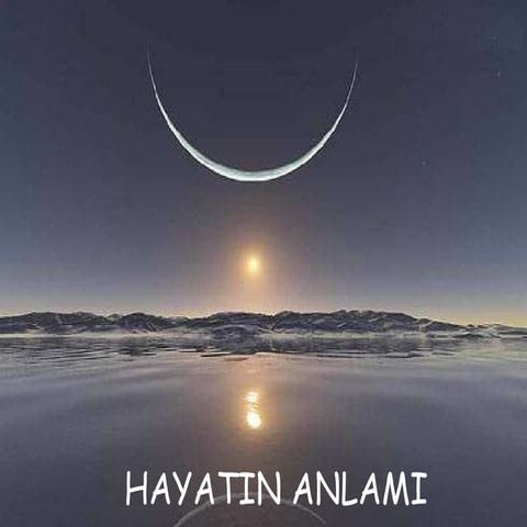 Hayat | PPS