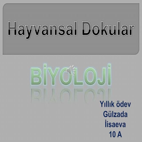 Hayvansal doku | PPTX