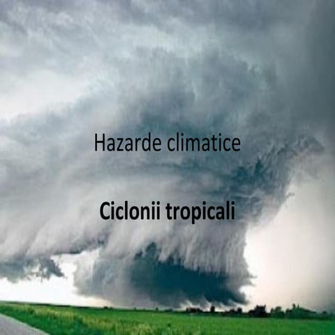 Rolul literaturii in perioada Pasoptista | DOC