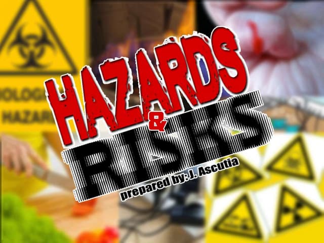 Hazards and risks in the workplace | PPTX