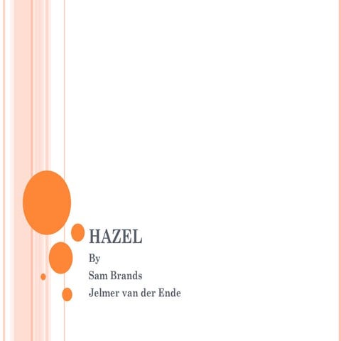 Hazel | PPT