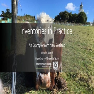 Inventories in practice: An example from New Zealand | PPT