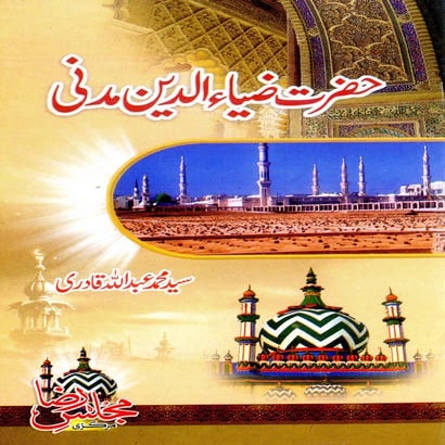 Hazrat zia uddin madani by syed abdullah shah | PDF | Islam | Religion ...