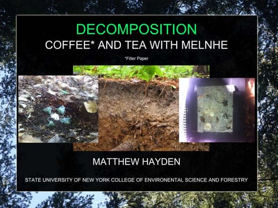 Understanding multifunctional landscapes and their change to inform ...