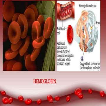 Hb chemistry and disorders | PPSX