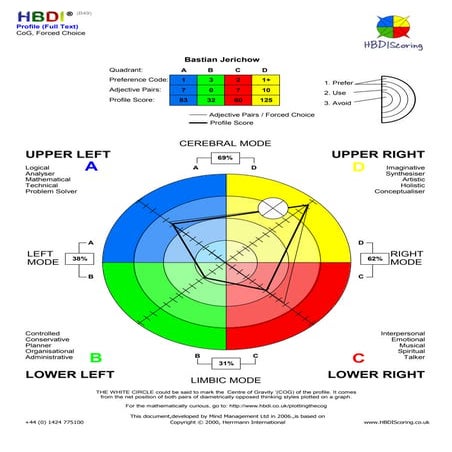 MY HBDI profile | PDF