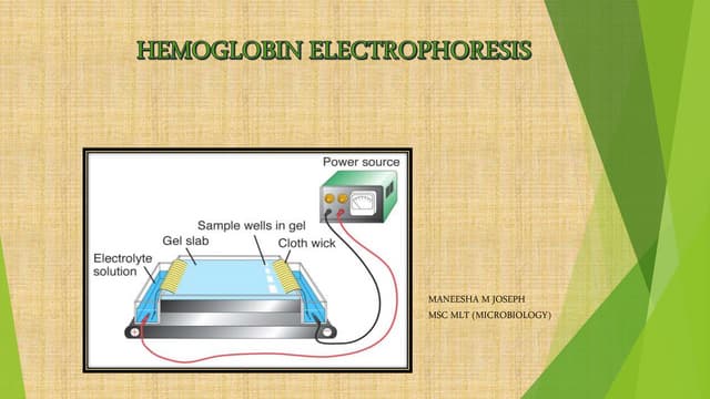 Differential cell count | PDF