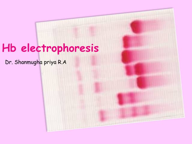 Hb electrophoresis (principle materials and procedure) | PPTX