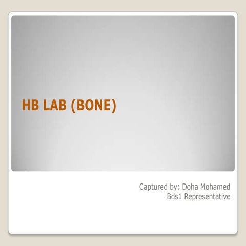 Hb lab (cartilage) | PPTX