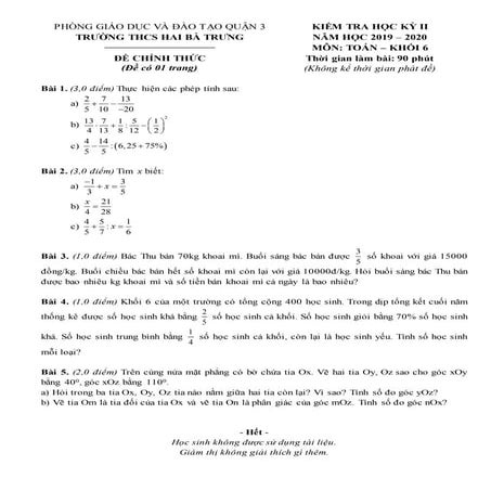 Đề Thi HK2 Toán 6 - THCS Hai Bà Trưng | PDF