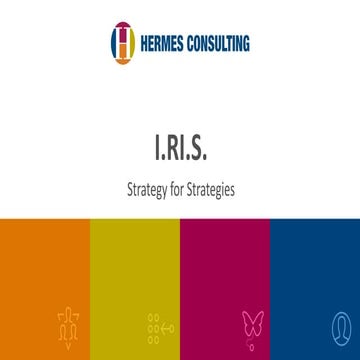 Hermes Consulting
