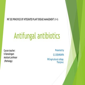 Antifungal antibiotics | PPTX