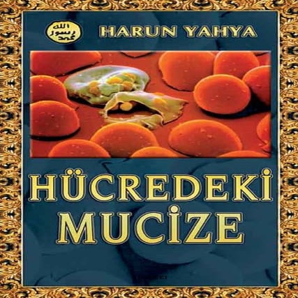 Hücredeki mucize. turkish (türkçe) | PDF
