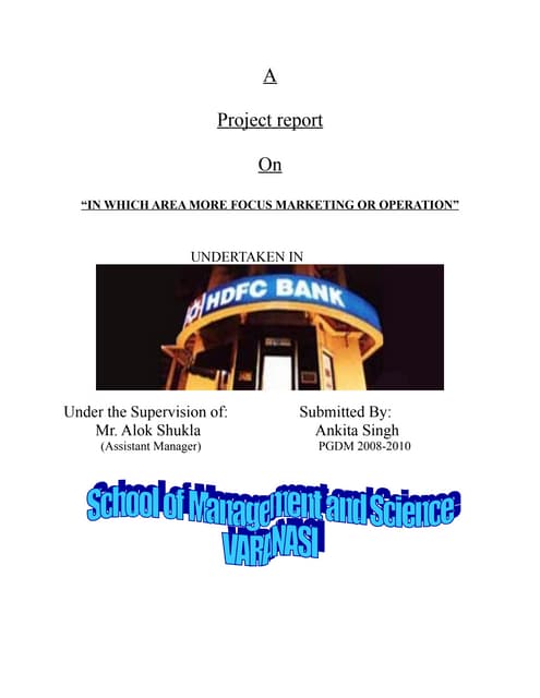 Project On Sales Force Structure Of Hdfc Bank Ltd | PDF